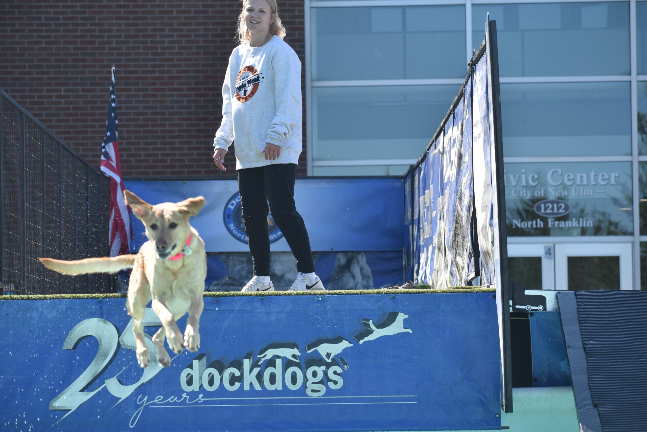 DockDogs and hogs highlight Saturday at the Brown Co. Fair | News ...